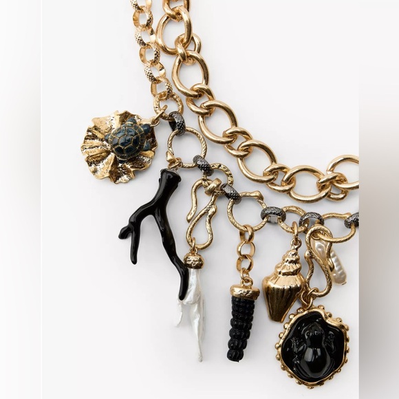 Zara | Jewelry | Zara Pack Of 2 Medallion And Charm Necklaces | Poshmark